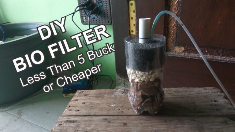 How To Filter Water In The Wild in 2023 - Camping Spark